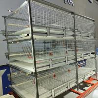 China 3-9 Floor Farm Battery Chicken Cage With Automatic System for sale