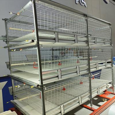 China HDG 4 Tier Broiler Chicken Cage System 200 Birds Capacity with 25+ Year Lifespan and Automated Feeding for sale