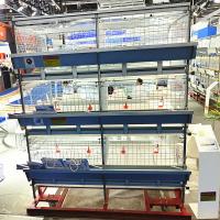 China HDG 4 Tier Broiler Chicken Cage System 200 Birds Capacity with 25+ Year Lifespan and Automated Feeding for sale