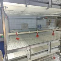 China 4-Tier Zn-Al Broiler Chicken Cage System 200 Birds Capacity with Automated Feeding & Environmental Control for sale