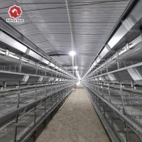 China 4-Tier Zn-Al Broiler Chicken Cage System 200 Birds Capacity with Automated Feeding & Environmental Control for sale