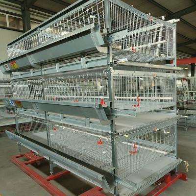 China Automatic H-Type Broiler Chicken Cage System - 60-200 Bird Capacity with 275g/m² Hot-Dip Galvanized Steel for sale