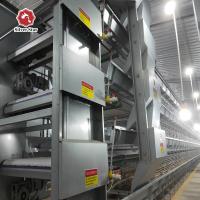 China 85*62.5*50Cm Size Broiler Chicken Cage H Type Multi Layer for sale