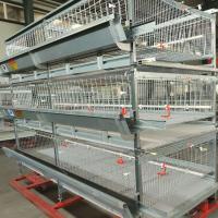 China H Type Frame 4 Tiers Meat Chicken Broiler Cage 136 Birds Capacity 85x220x325 cm for sale