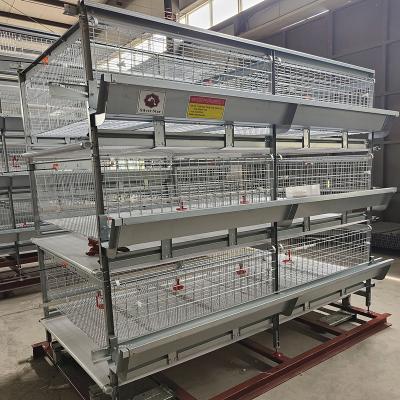 China Modern Broiler Chicken Cage System 150-200 Birds Capacity with Hot Dip Galvanized Steel Construction for sale