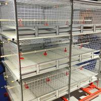 China 3-9 Floor Farm Battery Chicken Cage With Automatic System for sale
