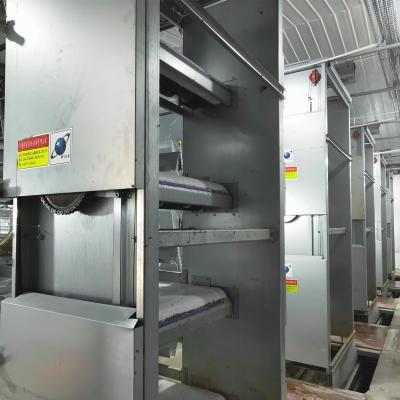 China 4 Tier 45 Days Broiler Chicken Cage with Automatic Manure Removal System 183x236x190cm for sale