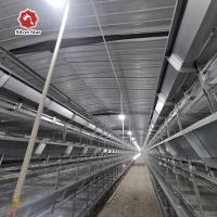 China 85*62.5*50Cm Size Broiler Chicken Cage H Type Multi Layer for sale