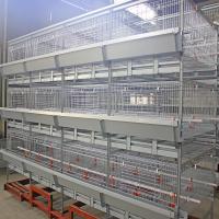 China Hot Galvanized Wire Mesh Broiler Chicken Cage H Type for sale