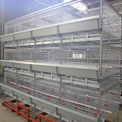 China H Type 500cm² Meat Chicken Cage System - 3/4 Tier Broiler Poultry Equipment with ISO9001 Certification for sale