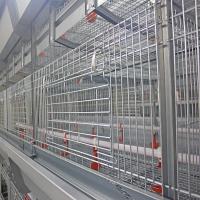 China H Type Frame 4 Tiers Meat Chicken Broiler Cage 136 Birds Capacity 85x220x325 cm for sale