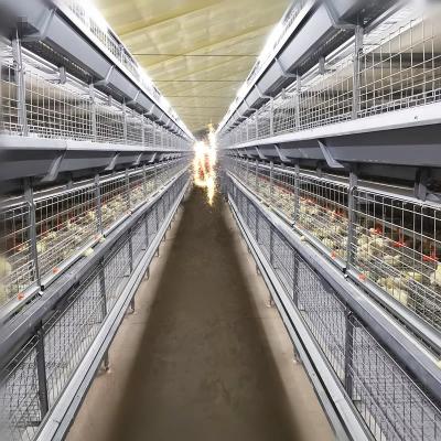 China Durable H Frame Broiler Chicken Cage Automatic Hopper Trolley Feeding for sale