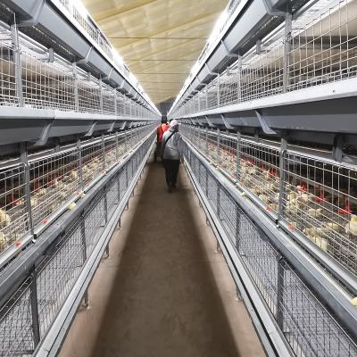 China H Type Automatic Chicken Battery Broiler Cage 4 Tier 1480x1750mm HDG Poultry Farm Equipment for sale