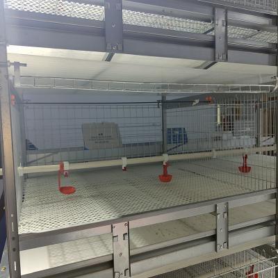 China 3-9 Floor Farm Battery Chicken Cage With Automatic System for sale