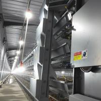 China 85*62.5*50Cm Size Broiler Chicken Cage H Type Multi Layer for sale