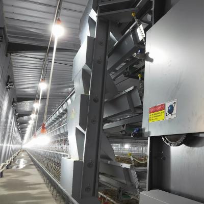 China 90birds/Set 1.5m3 Poultry Battery Cage System For Broilers Auto Feeding YXB4H120 for sale