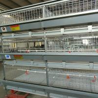 China 208 Birds Broiler Chicken Cage System - Automated Poultry Farming Equipment with 25+ Year Lifespan for sale