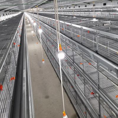China 1480mm x 1750mm x 440mm Four Layer Galvanized Broiler Chicken Battery Cage with 208 Bird Capacity for sale