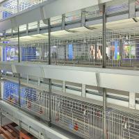 China Hot Galvanized Battery Chicken Cage For Broiler 17 Chicks / Cell for sale