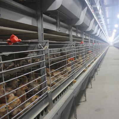 China Q235 Poultry Farming Cage for sale