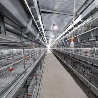 China Q235 Poultry Farming Cage for sale