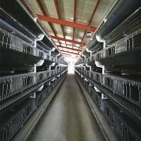 China 200-300  Birds / Set Baby Chick Cage Hot Dip Galvanized for sale