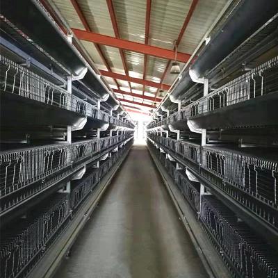 China 200-300  Birds / Set Baby Chick Cage Hot Dip Galvanized for sale