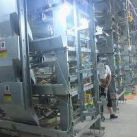 China 2.5mm Pullet Rearing Brooder Cage Systems - A & H Frame Designs with 180-240 Bird Capacity for Egg Farming for sale