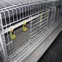 China 6 Layers Baby Chick Brooder Cage H Type Chicken Brooder Growing Cage for sale