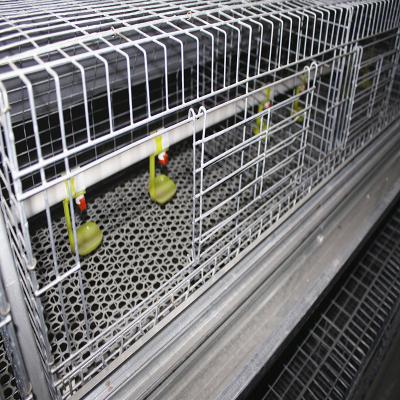 China Customized Multi Style Baby Chick Cage Multi Broiler Chicken Cage Poultry Equipment for sale