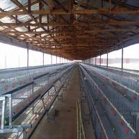 China Galvanized Broody Chicken Cage - 3 or 4 Floor Design with 180-240 Bird Capacity and 10-15 Year Lifespan for sale