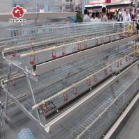 China Poultry House A Type Baby Chick Cage 180/240 Capacity with 275g/m² Galvanized Steel Construction for sale