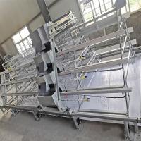 China A-Type 1 Day Old Brooding Cages - 180 to 240 Bird Capacity - Q235 Steel Construction - 1850×2300mm Size for sale