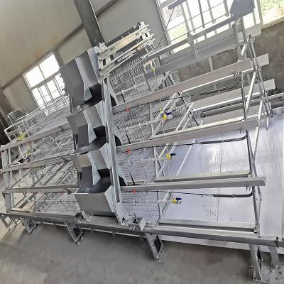 China A-Type 1 Day Old Brooding Cages - 180 to 240 Bird Capacity - Q235 Steel Construction - 1850×2300mm Size for sale