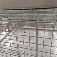 China A-Type 1 Day Old Brooding Cages - 180 to 240 Bird Capacity - Q235 Steel Construction - 1850×2300mm Size for sale