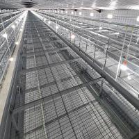 China H Type 6 Tiers Automatic Broiler Feeder 1800x1200x410mm for sale