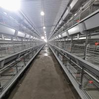China H Type 6 Tiers Automatic Broiler Feeder 1800x1200x410mm for sale