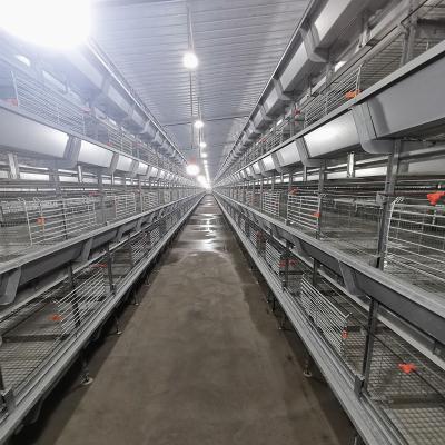 China H Type 6 Tiers Automatic Broiler Feeder 1800x1200x410mm for sale