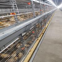 China Q235 Battery Cages Laying Hens Chicken Farming Materials A Type for sale