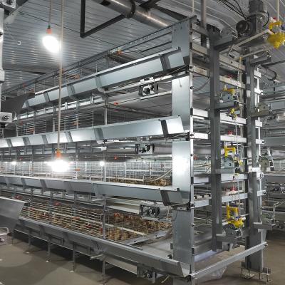 China H-Type Layer Battery Baby Chicks Rearing Cage System - 40,000 Bird Capacity, 4-Tier Design, 312cm² Per Bird for sale