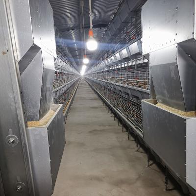 China Hot Dip Galvanized Broiler Chicken Cage 3-9 Tiers 162-540 Chickens for Poultry Farm for sale