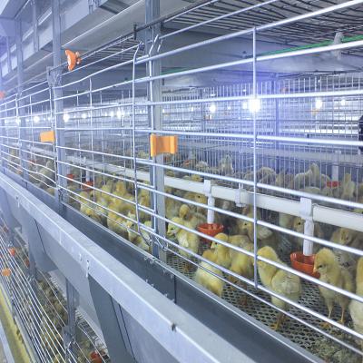China Battery Brooder Baby Chick Cage with 2.0-3.0mm Wire Diameter - 3-4 Tier A/H Frame for 102-240 Birds for sale