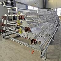 China Poultry Chick Rearing Cage Battery System 3-4 Tier with Auto Water - 180-240 Bird Capacity for sale