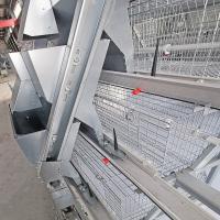 China Poultry Chick Rearing Cage Battery System 3-4 Tier with Auto Water - 180-240 Bird Capacity for sale
