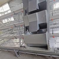 China Hot Galvanized 4-Layer Baby Chick Cage 240 Birds Capacity 1830x2300x1800mm SGS Approved for sale