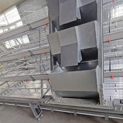 China Hot Galvanized 4-Layer Baby Chick Cage 240 Birds Capacity 1830x2300x1800mm SGS Approved for sale