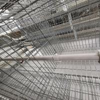 China One Day Old Baby Chick Cage With Full Automatic System for sale