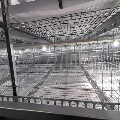 China Silver Star 3-4 Tier Baby Chick Brooder Cage 850x1250mm SONCAP Certified for 102-136 Birds for sale