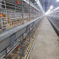 China 6 Layers Baby Chick Brooder Cage H Type Chicken Brooder Growing Cage for sale