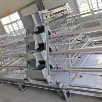 China A-Type Baby Chick Cage System - 3 & 4 Tier Pullet Rearing Cages with 305cm² Bird Area for sale